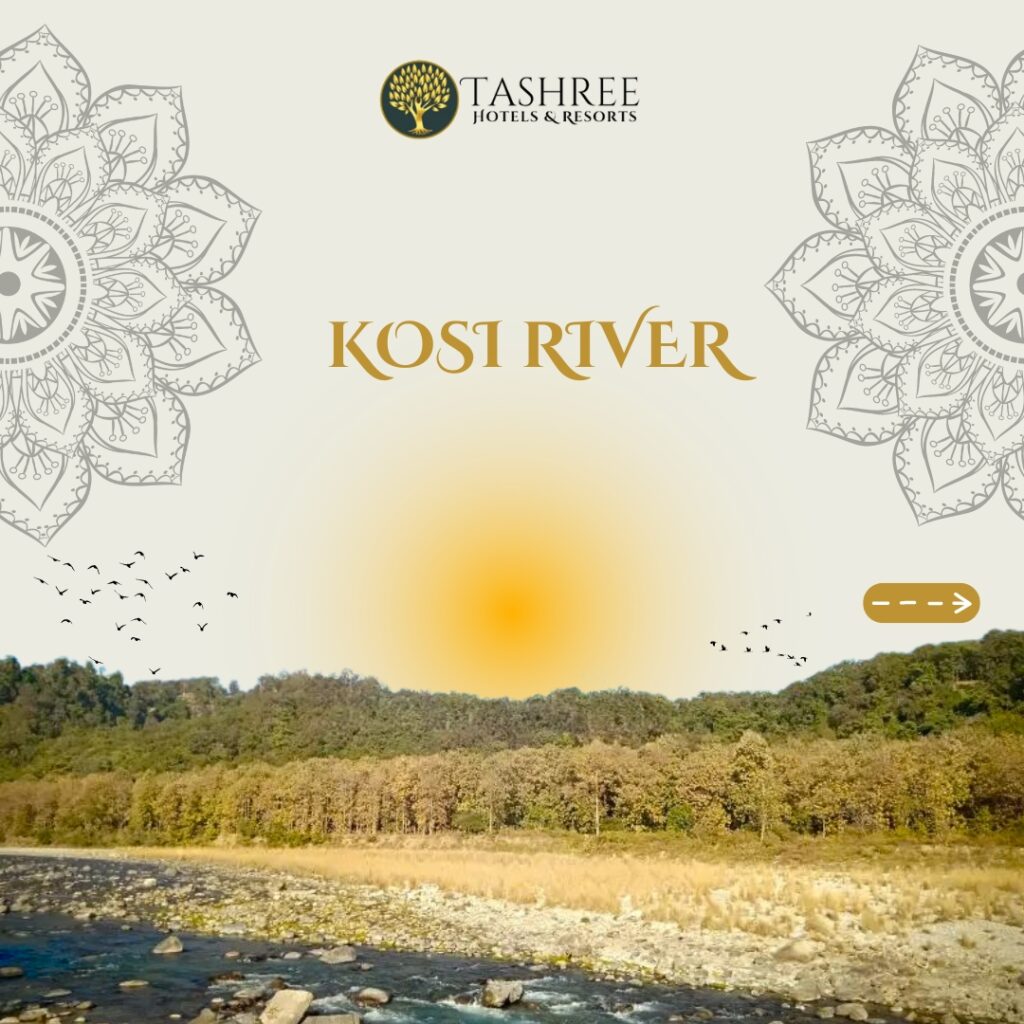 Best Luxurious Resorts in Jim Corbett National Park - Tashree Hotels ...